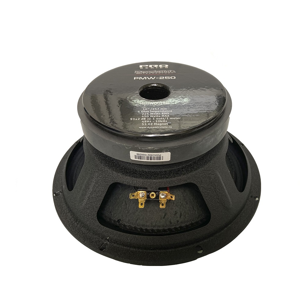 Купить Dynamic State PRO PMW-250 в интернет-магазине автозвука R2V